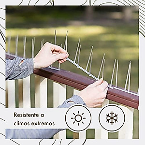 Bird Blinder Plastic Bird Spikes - Polycarbonate Deterrent for Pigeons and Other Small Birds - Bird Nest Prevention, Bird Repellent Outdoor Devices (16 Foot Coverage)