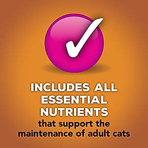 Purina Friskies Pate Wet Cat Food Variety Pack, Extra Gravy Pate Chicken, Turkey, Salmon & Tuna - (24) 5.5 oz. Cans