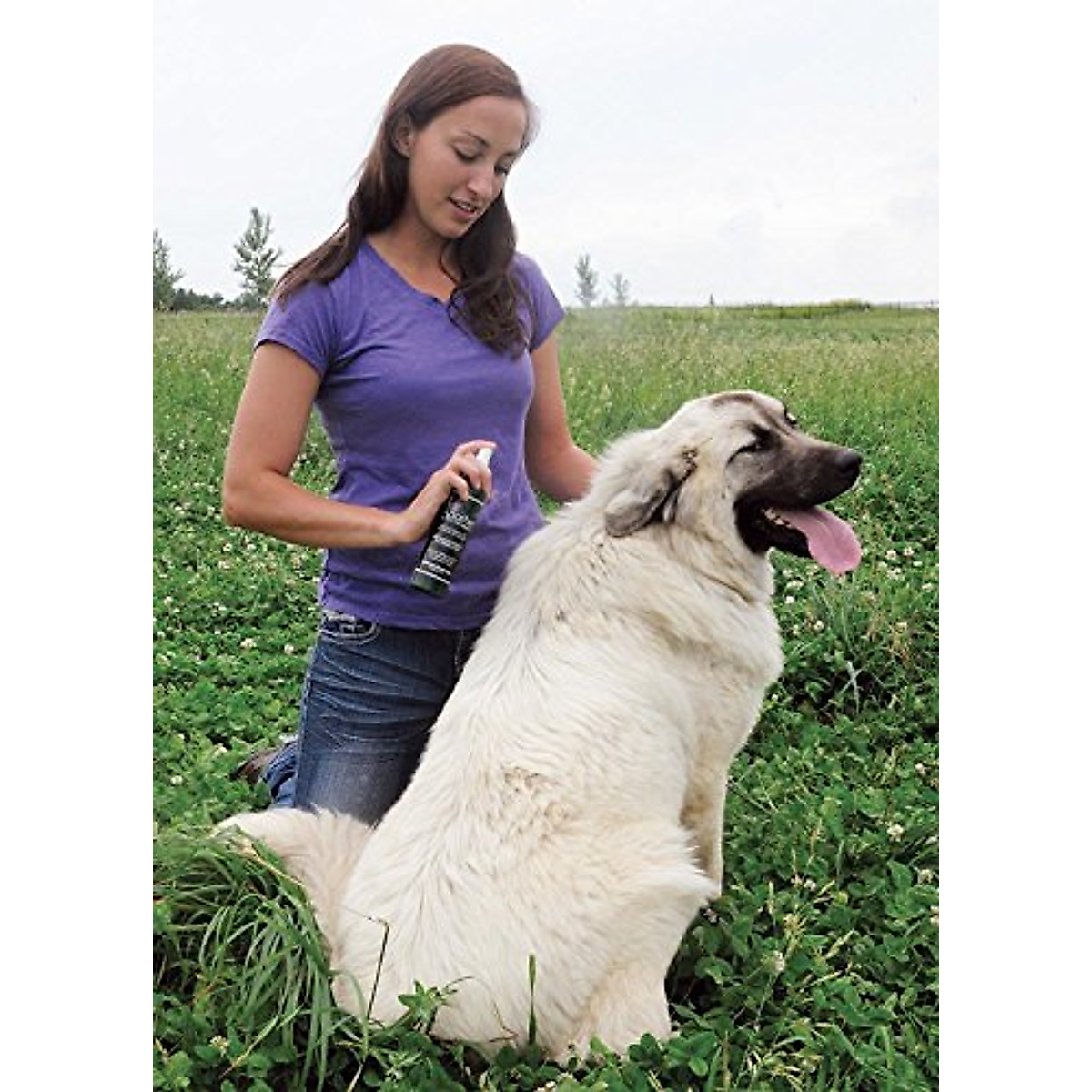 Bug Soother Spray 2 oz - Natural Mosquito, Gnat and Insect Deterrent & Repellent with Essential Oils - DEET Free - Safe for Adults, Kids, Pets, & Environment - Made in USA