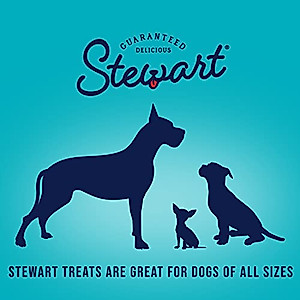 Stewart Freeze Dried Dog Treats, Beef Liver, Grain Free & Gluten Free, 21 Ounce Resealable Tub, Single Ingredient, Dog Training Treats