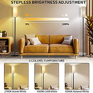 Firturezir Floor Lamp for Living Room, Modern Floor Lamp with Remote Control, Stepless Dimmable 12W Bulb Included, APP Connection and Usage Standing Lamp Tall Lamps for Living Room Bedroom