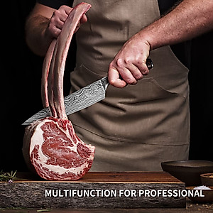 AIXIHOM Kitchen Chef Knife 8 inch Japanese Chefs Knife,Professional Chef Knives for Cooking,Carbon Stainless Steel Sharp Cutting Knife with Ergonomic Handle & Gift Box