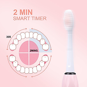 Pallus Electric Toothbrush, Sonic Toothbrush for Adults with 5 Dupont Bursh Heads, Ultra Cleaning with 37,000 VPM 5 Modes 2 Hours Charging for 30 Days Use,Pink Rechargeable Power Toothbrush