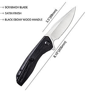 CIVIVI Baklash Flipper Pocket Knife Black Ebony Wood Handle (3.5'' Satin 9Cr18MoV) C801E