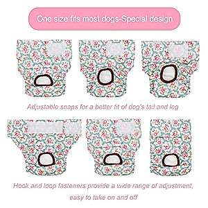 CuteBone Dog Diapers Female Small 3 Pack Reusable Puppy Period Diapers for Heat Cycle D14S