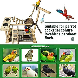 Hamiledyi Bird Playground for Conures Parrot Playstand Cockatiel Play Stand Wood Perch Gym Playpen Ladder Swing Chew Toy with Feeder Cups for Lovebirds Parakeet Cage Accessories Exercise Platform