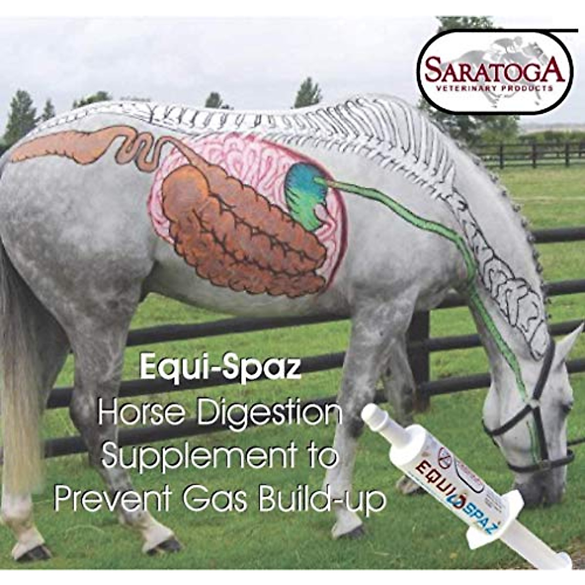 EQUI-SPAZ Horse Digestion Supplement to Prevent and relieves Gas Build-up (Relieves Colic in 15 Minutes) (1)