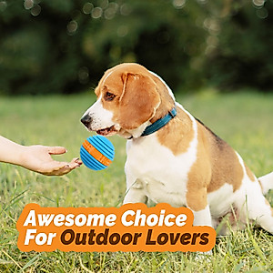 ALL FOR PAWS Dog Balls Squeaky Balls for Dogs Puppy Teething & Enrichment Dog Fetch Toy Puppy Toys for Strong Chewer, Ridges and Nubs Help Clean Teeth, TPR Material, 3 Pack (Blue)