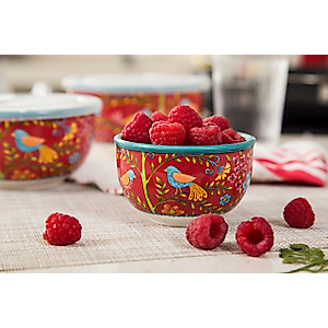 Bico Red Spring Bird Ceramic Bowl with Air Tight Lid Set of 3(27oz, 18oz, 9oz each), Prep bowls, Food Storage Bowl for Salad, Snacks, Fruits, Microwave and Dishwasher Safe