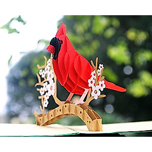 CUTPOPUP Mother's Day, Birthday Card Pop Up, 3D Greeting Card (Red Cardinal)