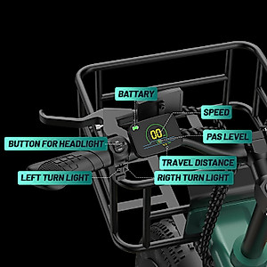 Doulve Electric Bike, 48V 30Ah Dual Battery Electric Bicycle, 60 Miles Long Range E-Bike for Adult with 750W Brushless Motor, 5 Speed Gear Pedal-Assisted Mode, and 20 Inch Cargo Ebike (Green)