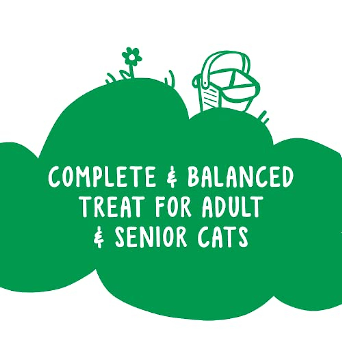 Friskies Party Mix Crunch Variety Pack (6 Fun Flavors 2.1 oz each) - Picnic, Beachside, Cheezy Craze, Original, California Dreamin', and Meow Luau