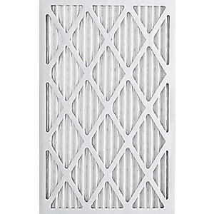 Nordic Pure 18x25x1 MERV 12 Pleated AC Furnace Air Filters 3 Pack & ORAVET Dental Chews for Dogs, Oral Care and Hygiene Chews (Small Dogs, 10-24 lbs.) Blue Pouch, 30 Count