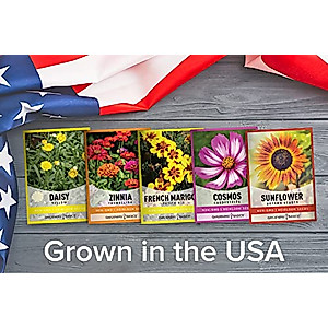 Flower Garden Seeds for Planting Outdoors Flower Seeds (5 Variety Pack) Daisy, Marigold, Cosmos, Sunflower, Zinnia Varieties for Bees, Pollinators Wildflower Seed by Gardeners Basics