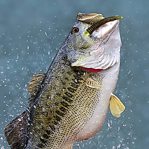 JIGITY - Ned Rig Baits | 10 Pack Uncle Ned 3" Soft Plastic Worms | Finesse Style Bait Largemouth Smallmouth Multispecies Crappie Bluegill Bass Fishing Gear (3", Black Blue FLK)