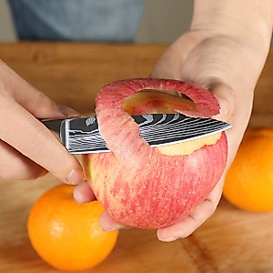 ANBFF Paring Knife, 3.5'' Fruit Knife and 5'' Chef Knife Set, Sharp High Carbon Stainless Steel Small Kitchen Utility Knives, Forged Peeling and Vegetable Knife with Gift Box