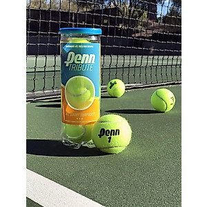 Penn Tribute - All Courts Felt Pressurized Tennis Ball, 1 Can, 3 Balls