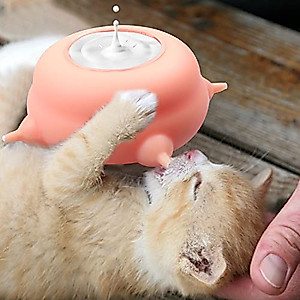 oADANNUo Puppy Milk Feeder with 4 Nipples Silicone Milk Feeding Bowl Puppy Kitten Nursing Station for Feeding Small Newborn Pets Within Two Weeks