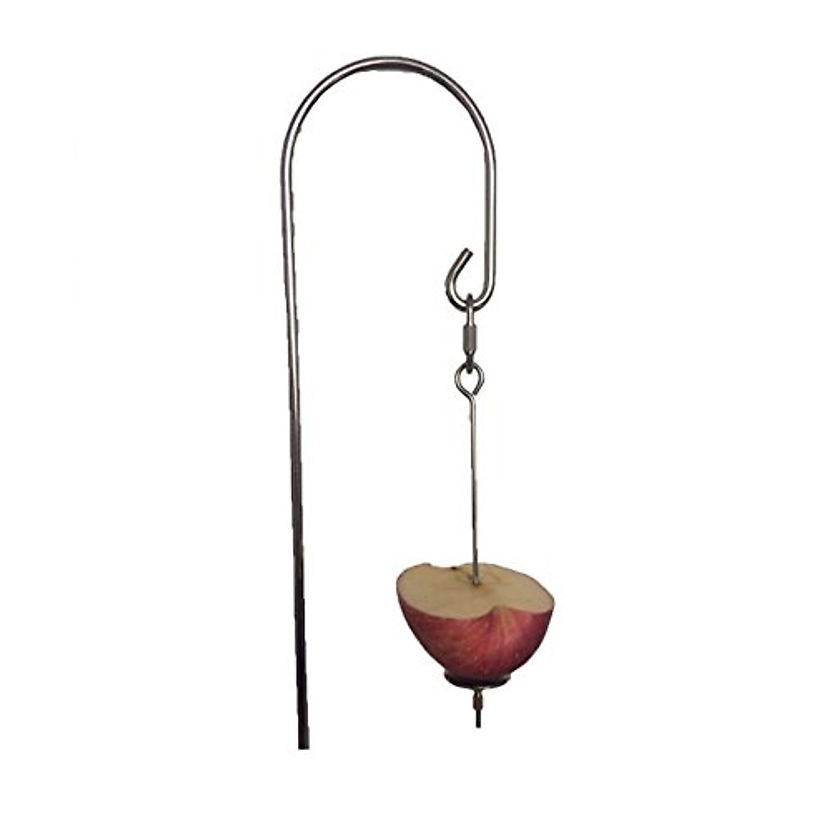 HONBAY 2pcs Parrot Bird Rabbit Hutch Cage Fruit Vegetable Holder Skewer Foraging Toy Animal Treating Tool (S)