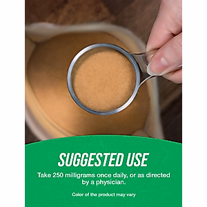 BulkSupplements.com Milk Thistle Extract Powder - Liver Support Supplement - Silymarin Milk Thistle - Milk Thistle for Dogs - Liver Cleanse - Fatty Liver Supplements (1 Kilogram - 2.2 lbs)