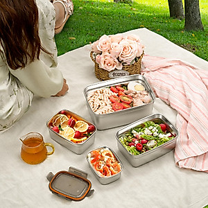 4 Pack Food Storage Containers with Lids, Stainless Steel Fridge Storage Containers Airtight Leak-Proof Metal Storage Containers for Food Leftover Storage at Home or for Camping Trip Road Trip