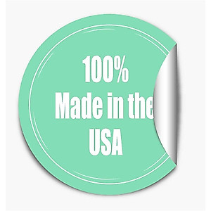 (x3) 2x3 inch Stickers | Reflective Wellington FL Florida Palm Beach County Vintage US Flag Sticker Graphic - Construction Toolbox, Hardhat, Lunchbox, Helmet, Mechanic, Luggage