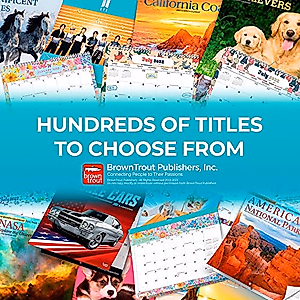 Beaches | 2023 6 x 7.75 Inch Spiral-Bound Wire-O Weekly Engagement Planner Calendar | New Full-Color Image Every Week | BrownTrout | Travel Nature Tropical