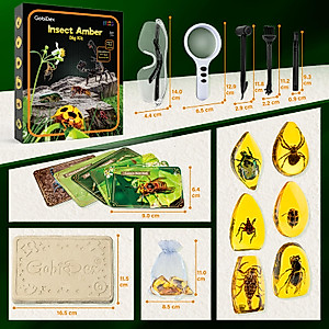 Amber Dig Kit-Artificial Insect Resin, Excavate 6 Insects Specimens, STEM Geographic Educational Bugs Toys, Excavation Toys Science Kit for Fun Bugs Party Favors, Bug Collection Kit for Kids Age 6+