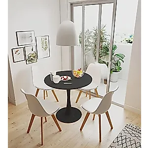 Sinovoy White Round Dining Table Modern Style 31.5" with Pedestal Base in Tulip Design, Mid-Century Leisure Table for Kitchen Dining Room & Living Room (Black)