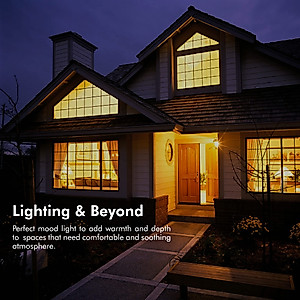 Xtricity 13-Watt Cfl light bulbs yellow T2 CFL Color Spiral Bug Light (60 Watt Incandescent Equivalent) E26 Medium Base - Energy Saver Yellow light bulb (Pack of 2)