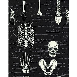 Timeless Treasures Glow in The Dark Skeleton Cotton Fabric Print by Yard D569.18