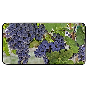 Fruit Grape Grapevine Vines Kitchen Floor Mat Door Mats Inside Outside Front Doormat Non Slip Kitchen Rug for Home, 39" x 20"