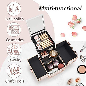 Costravio Makeup Box Cosmetic Train Case with Mirror Travel Organizer Cosmetic Jewelry Storage Box with 2-Tier Tackle Trays Portable Lockable Makeup Organizer Box - Marble Rose Gold Style