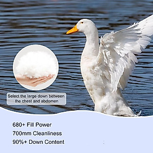 BOSIDENG Lightweight Women's Down Jacket Portable Water-Resistant Puffer Jacket Fall Coat with Stand Collar for Travel(Light Pink,XXL)