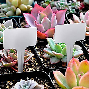 100 Pcs Plastic Plant Labels Reusable T-Shape Tags with Waterproof Markers Garden Plants Labels 2.36" x 3.94"