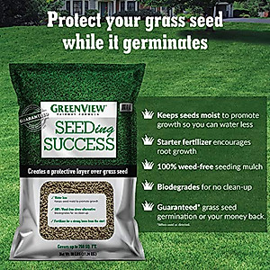 Greenview Fairway Formula Grass Seed Perennial Ryegrass Blend - 3 lb. Bag