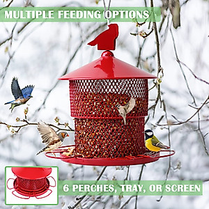 Metal Bird Feeders for Outdoors Hanging, Squirrel Proof Bird Feeder, 4 Lbs Large Capacity, Heavy Duty, 6 Perches, Supports Cardinals, Finch, Blue Jay,Sparrows and Outside Wild Birds