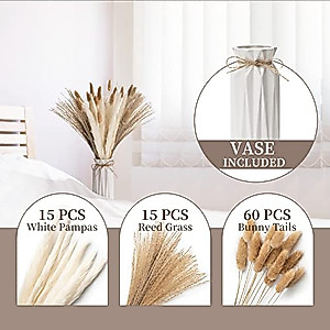 Wemk Pampas Grass with Vase Included, 90Pcs Dried Pampas Grass Decor, Natural Dried Pampas Grass, Fluffy Pampas Grasses for Home Decor Wedding Boho Decor