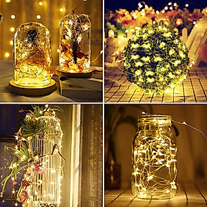 DAYLIGHTIR 2 Pack 100 LED Solar Powered Copper Wire String Lights Outdoor, Waterproof, 8 Modes Fairy Lights for Garden, Patio, Party, Yard, Christmas (Warm White)
