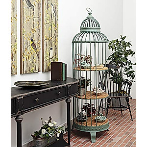 IMAX 47489 Charlotte Birdcage Shelf
