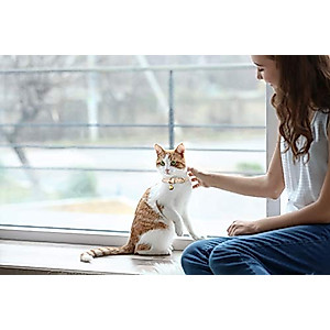 Jamktepat 3 Pack Leather Cat Collars with Bells Soft Pet Safety Collar Kitten Collars with Bell Black Chocolate Beige(S)