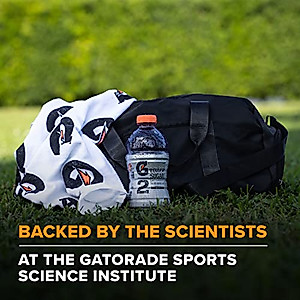 Gatorade G2 Thirst Quencher Variety Pack, 20 Ounce Bottles (Pack of 12)