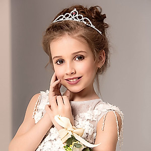 Chuangdi 16 Pcs Bulk Girls Tiara Crown Silver Princess Rhinestone Headband Crystal Wedding Tiara for Kid Women Birthday Party(Lovely Style)