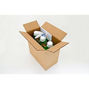 Clorox Clean-Up Bleach Cleaner Spray Value 24 Fl Oz (Pack of 3)