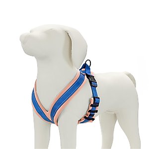Good Scout Dog Harness Medium Sized Dog, Heavy Duty Padded Dog Vest Harness, Durable Dog Body Harness, Adjustable for a Comfortable & Safe Fit, D-Ring for Quick Leash Attachment, Blue/Blush
