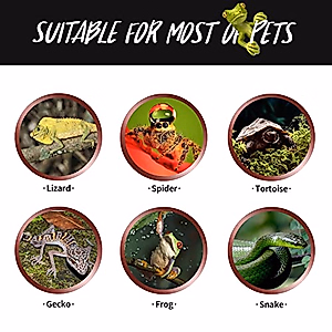 Night Heat Lamp Reptile 100W Heat Bulb, Moonlight Pet Light UVA Spot Lamp for Reptile and Amphibian Tortoise Lizard Snake Chameleon Spider-2 Pack