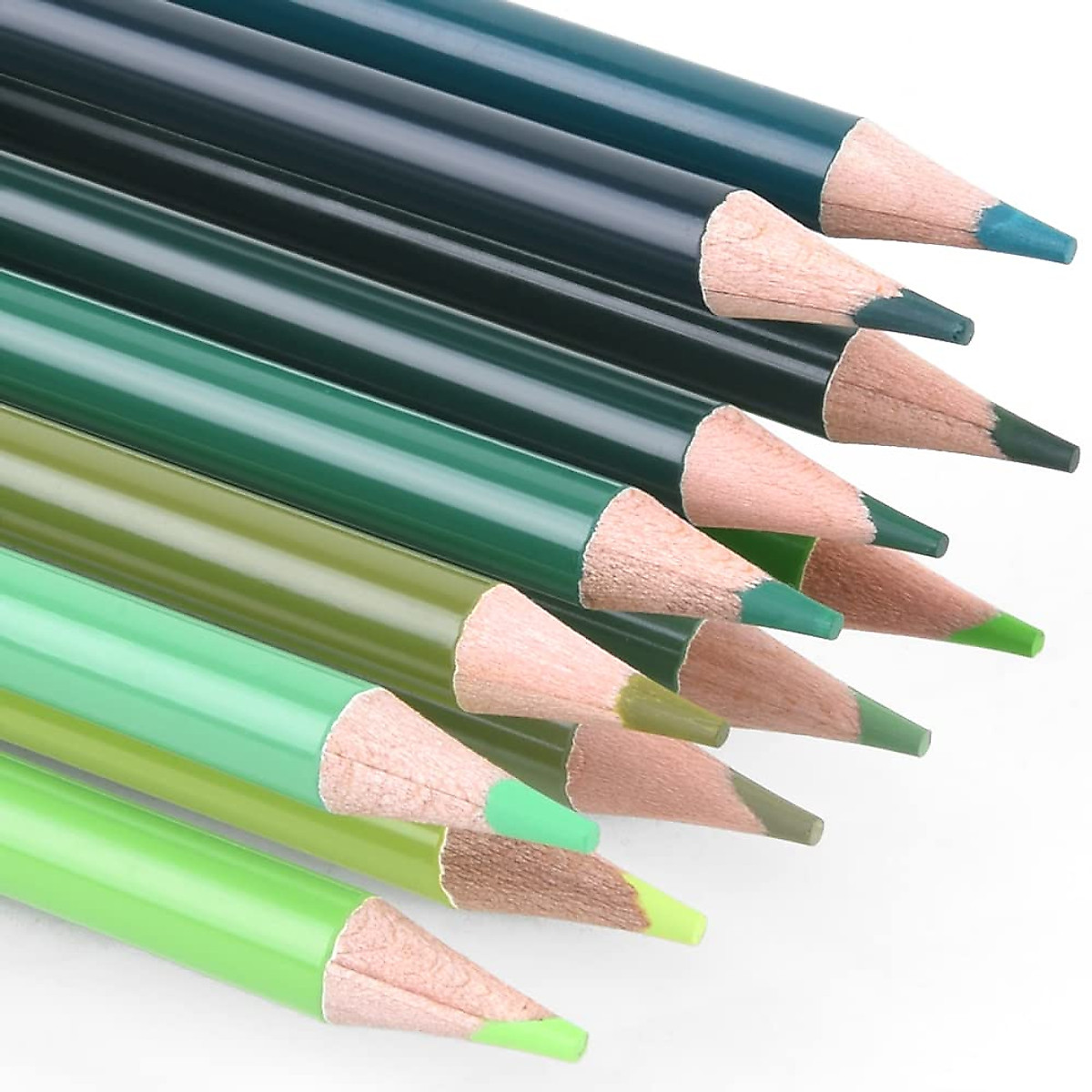 qianshan 12 Green Colored Pencils Oil Based Pre-sharpened Wooden Colored Pencil Set for Adults Coloring Books Drawing Sketching Art Supplies, No Duplicates