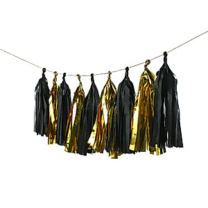 Meetppy 20PCS Tissue Paper Tassels Banner - Tassels Garland for Bachelorette Party, Birthday Party, Black and Gold Party Decorations