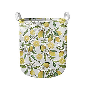 JOAIFO Lemon Print Laundry Hamper Premium Clothes Organizer Toys Socks Baby Stuff Storage Easy to Store for Women Ladies