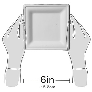 SCT Champware Molded Fiber Tableware, Square, 6 X 6, White, 125/pack, 4 Packs/carton